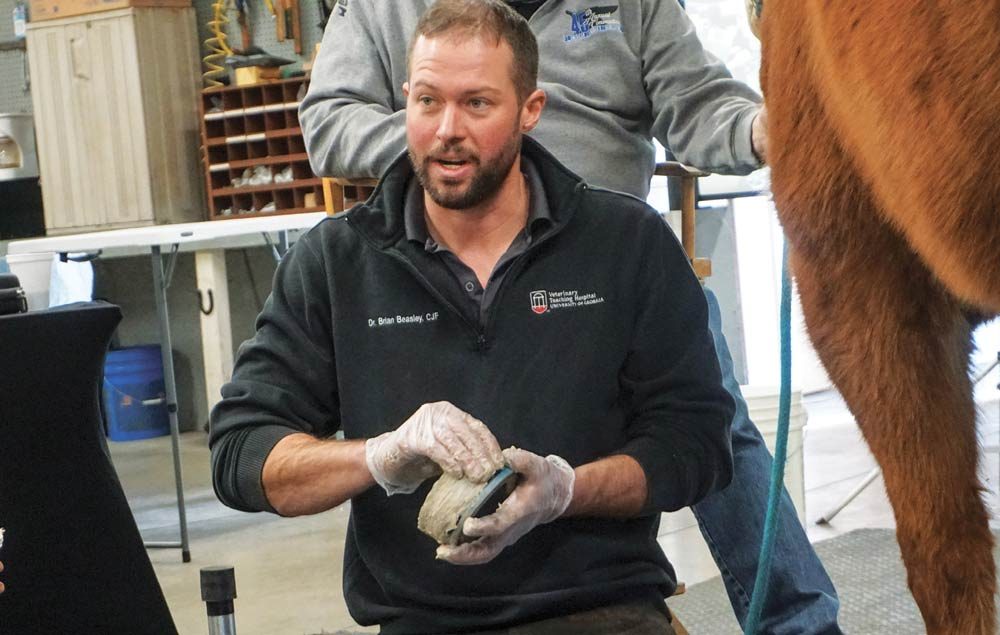 Shoeing Tips from the Winter 2019 Anvil Brand Clinic