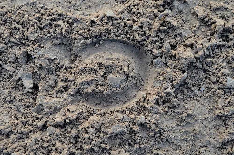 How Ground Surfaces Influence Performance Horses