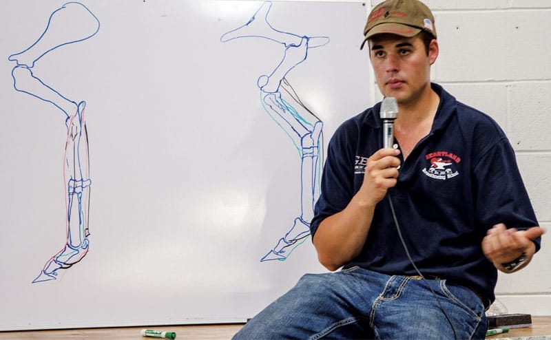 Increased Knowledge of the Equine Anatomy Can Help Farriers Improve ...