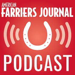 [Podcast] A Conversation with Dr. Christopher Pollitt