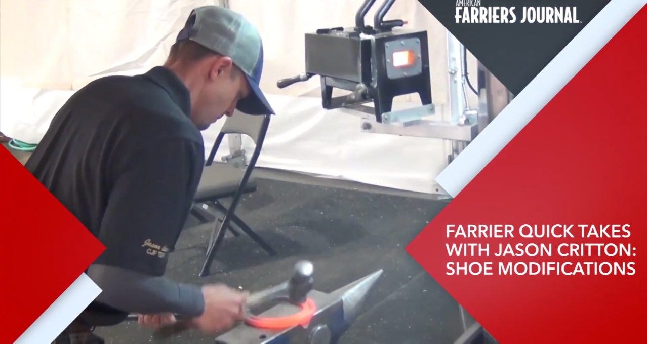 [Video] Farrier Quick Takes (Jason Critton): Shoe Modifications ...
