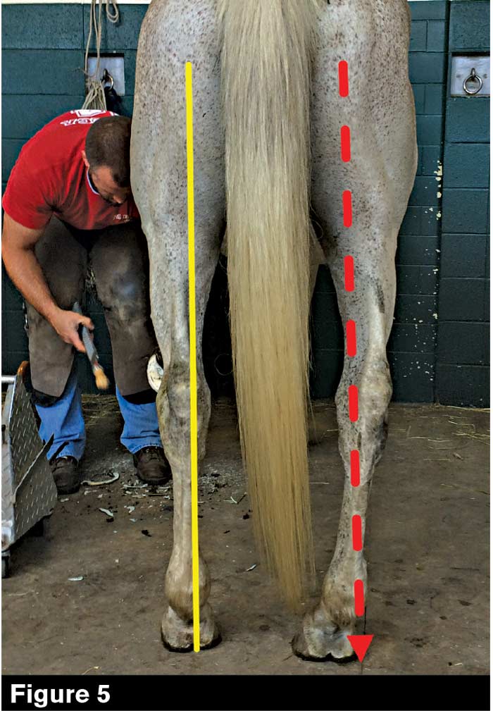 How Hind End Geometry Improves Performance and Balance