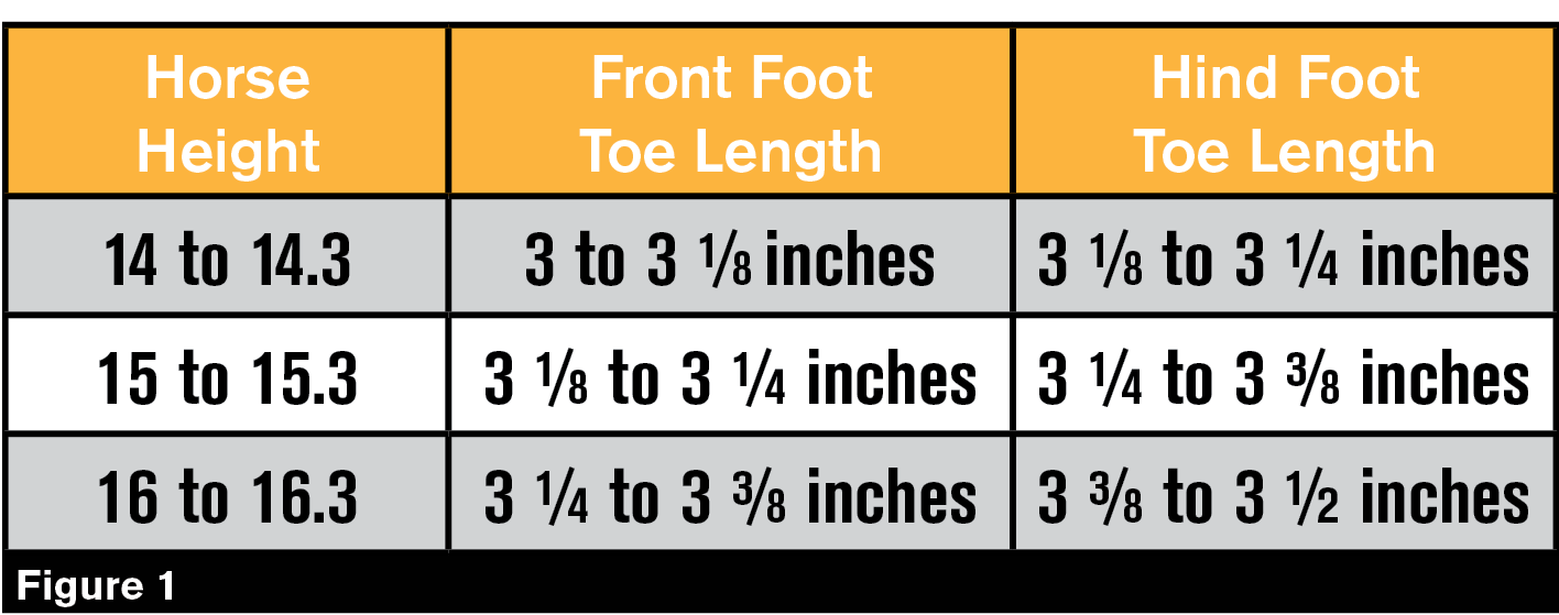 Maryland Farrier’s Toe Length Protocol Keeps Show Horses in Top Form