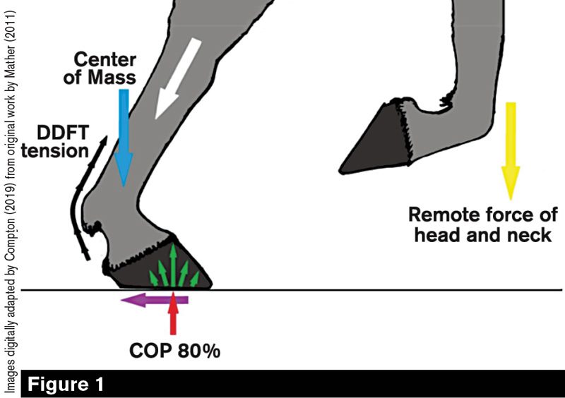 Understand Breakover and the Implications of Manipulating it