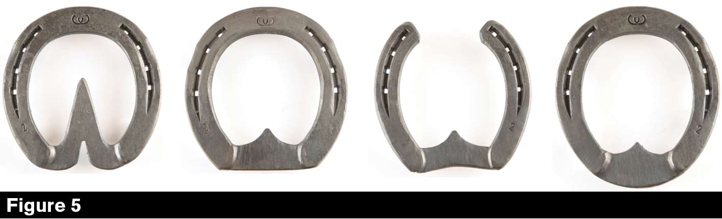 Types Of Horseshoes And Their Uses | informacionpublica.svet.gob.gt