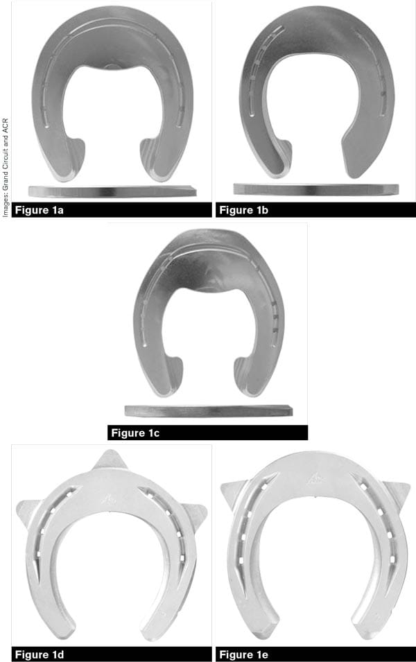 Torn Suspensory Ligament Horse