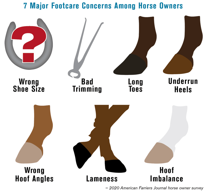 Why Horse Owners Tell Farriers… “You’re Fired!”