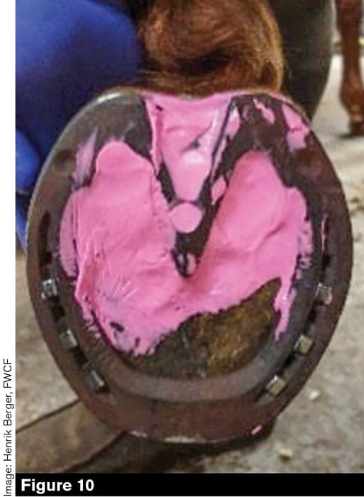 Applying the Heart-Bar Horseshoe