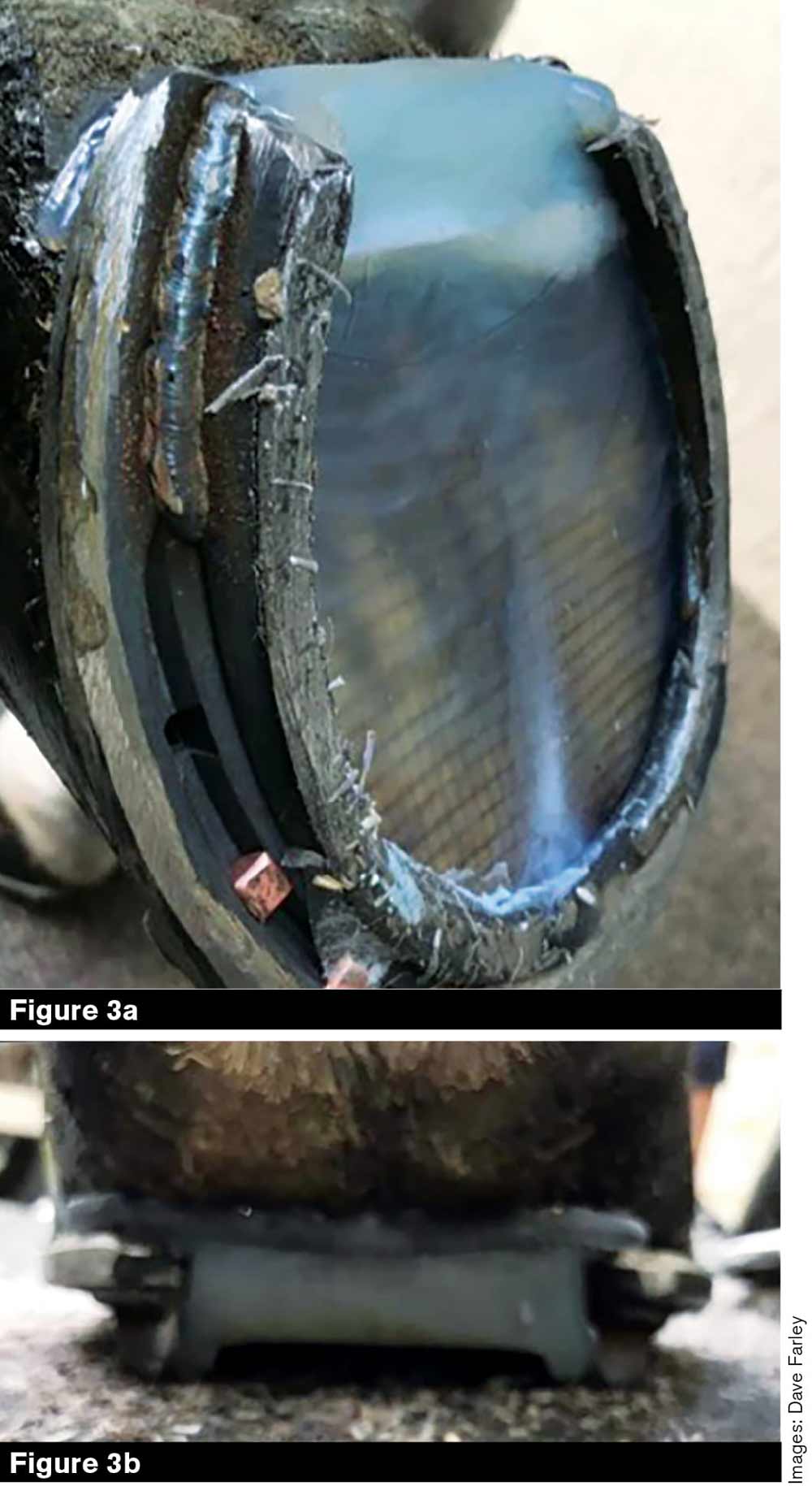 Benefits of the Omni-Directional Horseshoe