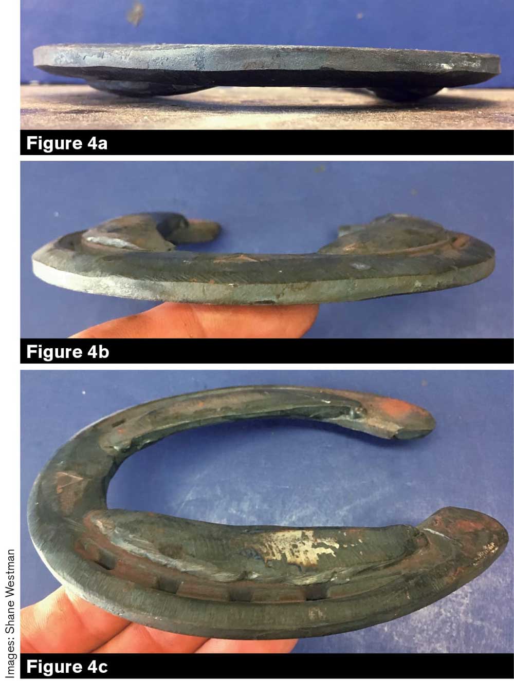 Benefits of the Omni-Directional Horseshoe