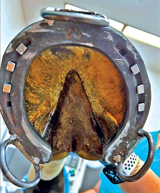 What's This? Hang ’Em High