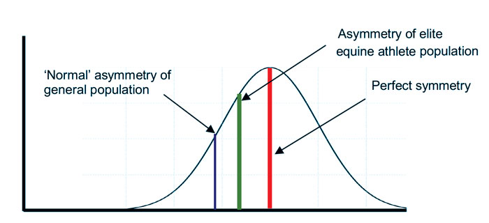 How Equine Limb Asymmetries Influence Health and Performance