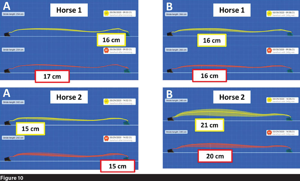 How to Affect the Swing Phase of Horses