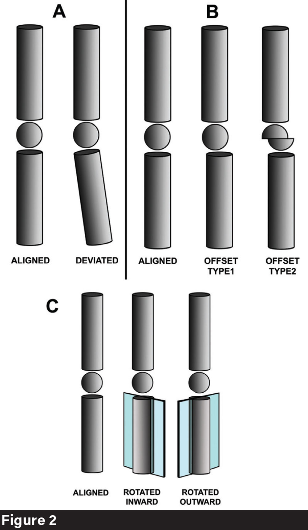 How Straightness Affects the Equine Hoof