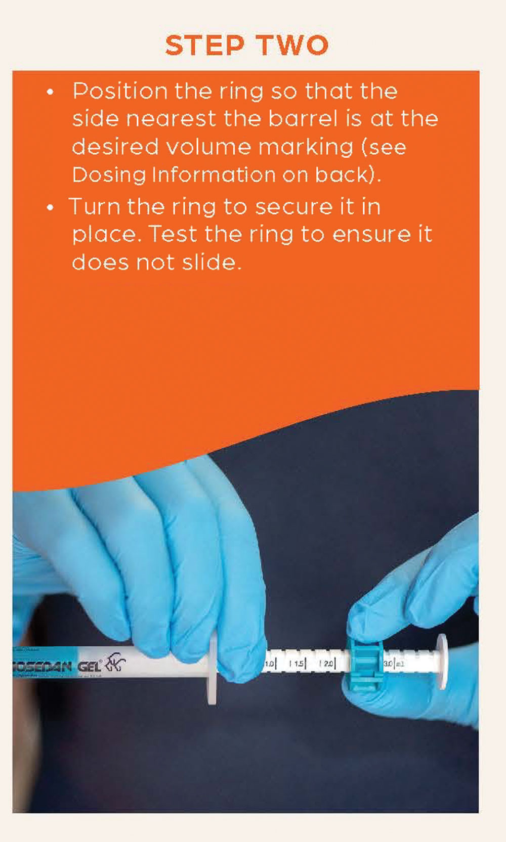 Sedating Horses Correctly for Hoof Care