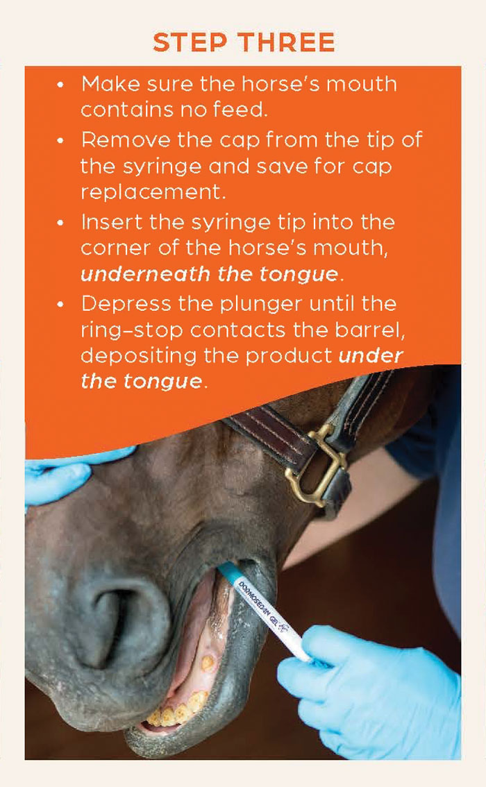 Sedating Horses Correctly for Hoof Care