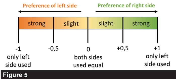 How Equine Handedness Influences Hooves & Conformation