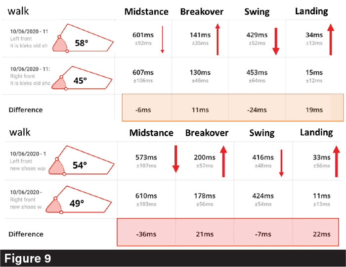 How Equine Handedness Influences Hooves & Conformation