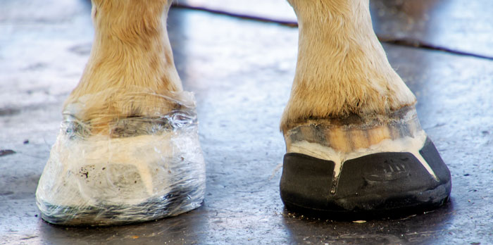 9 Tips for Glue-U Application