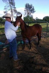 California Farrier Jacob Rassi Passes Away