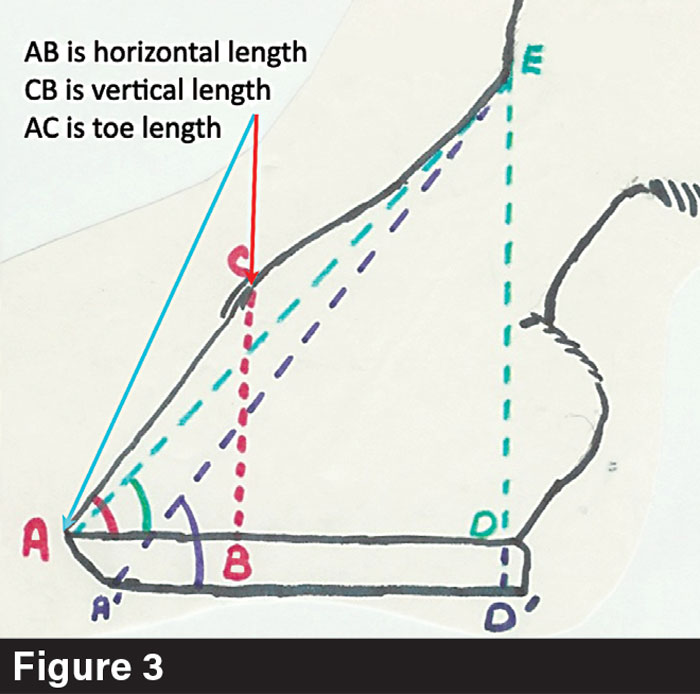Steps Toward Optimum: Measuring the Distal Limb Effectively