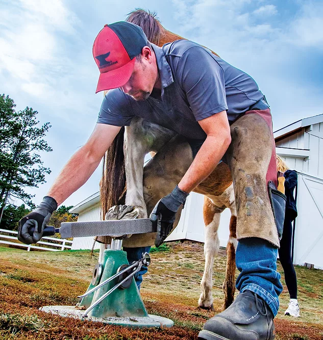 Colorado Farrier Brings a Fresh Perspective to Hoof Care