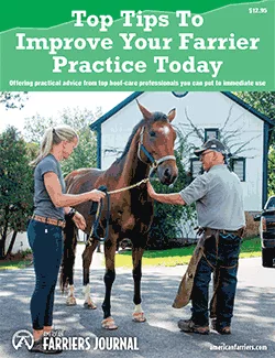 Top Tips To Improve Your Farrier Practice Today