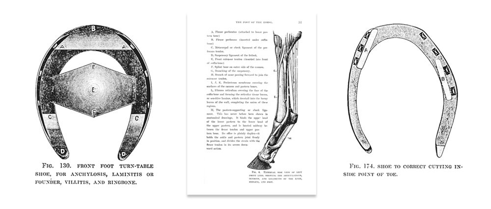 Renew Today And Get Hoof-Care's Most Respected Book FREE!