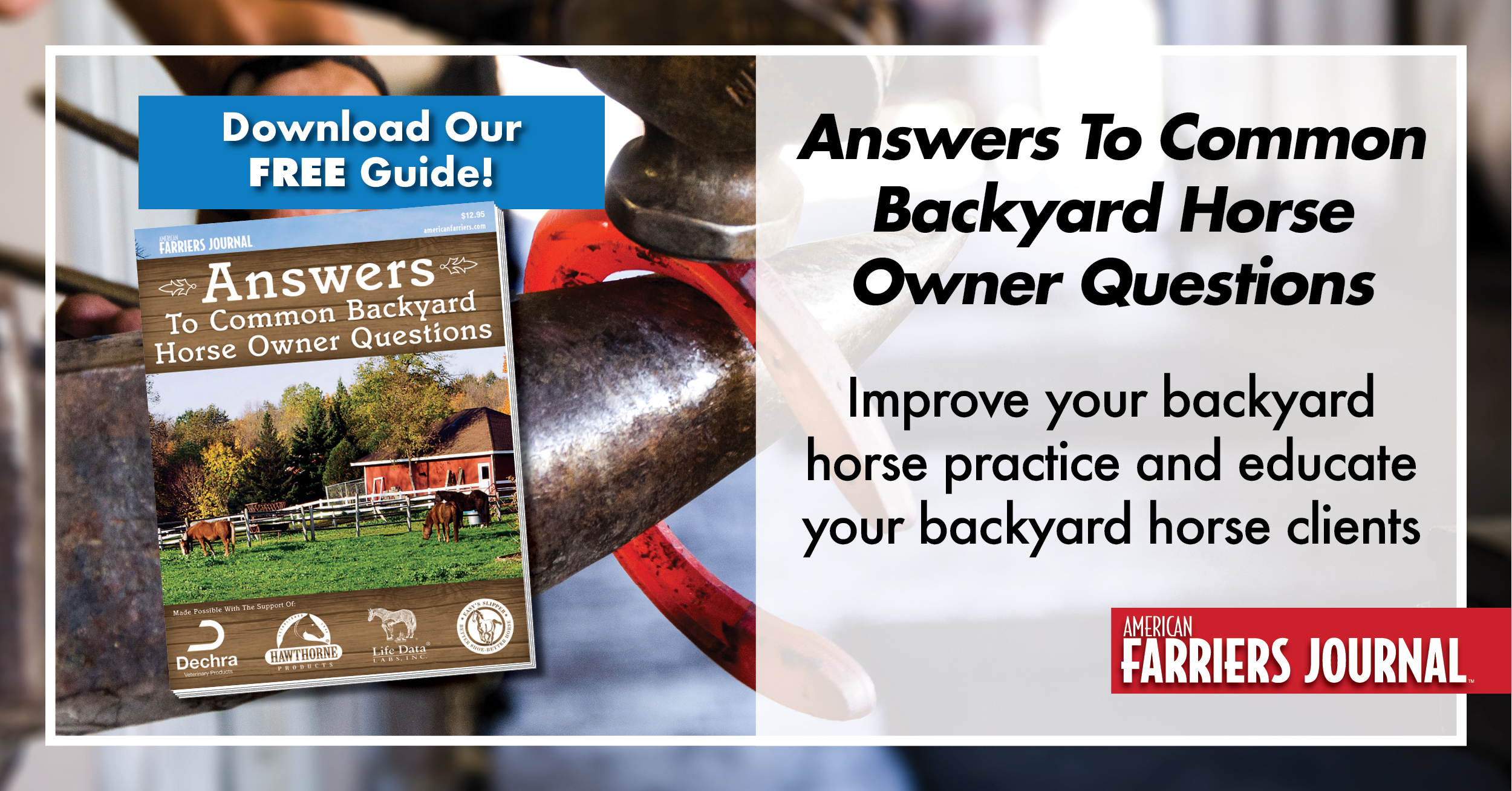 Answers To Common Backyard Horse Owner Questions