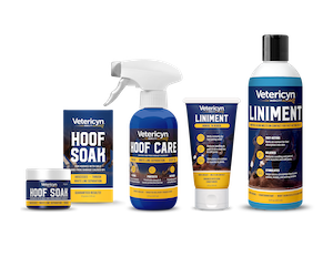 Hoof Boots, Poultices, Liniments & Packing Product Roundup 2022