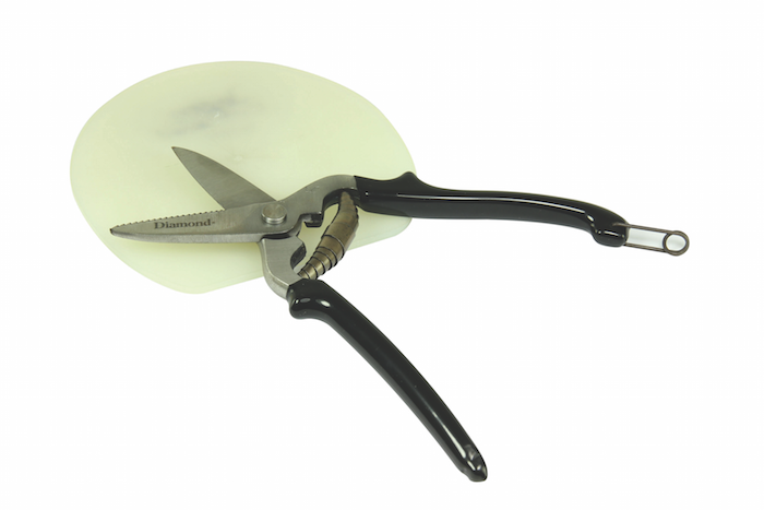 Diamond Farrier Co. Diamond Pad Shears