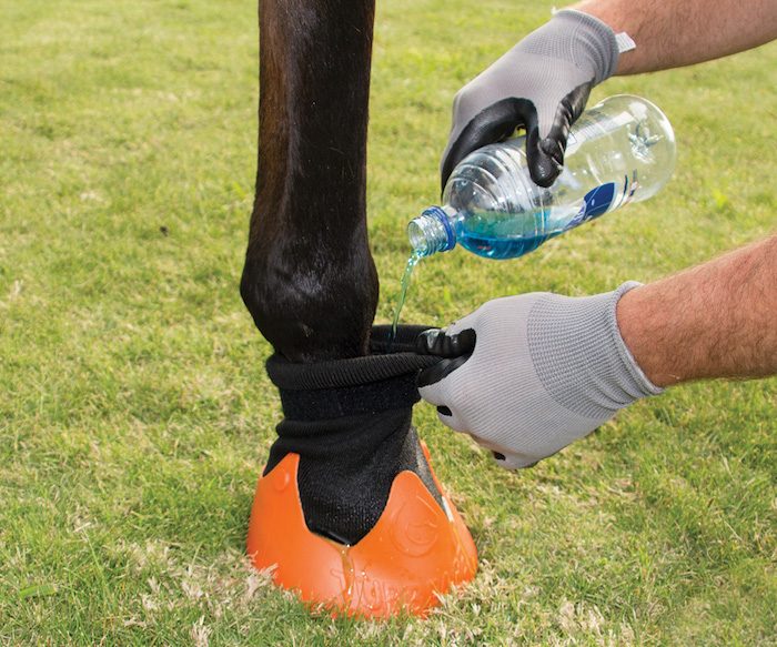 Shires Equestrian Tubbease Hoof Socks