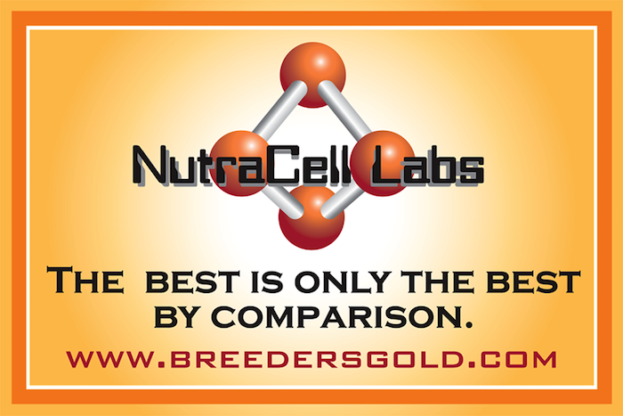 Nutra Cell Labs Nutritional Supplements