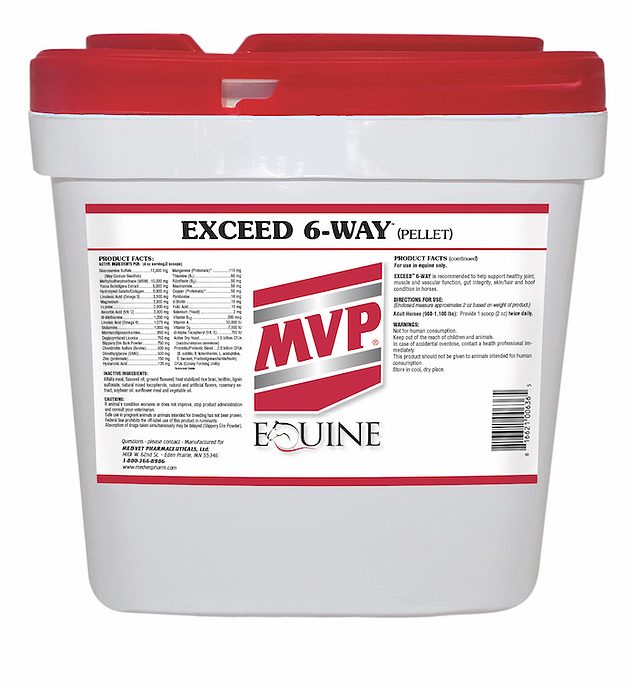 MVP Exceed 6-Way Supplement