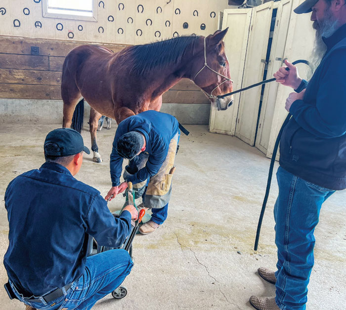 U.S. Army Honors its Horse Tradition
